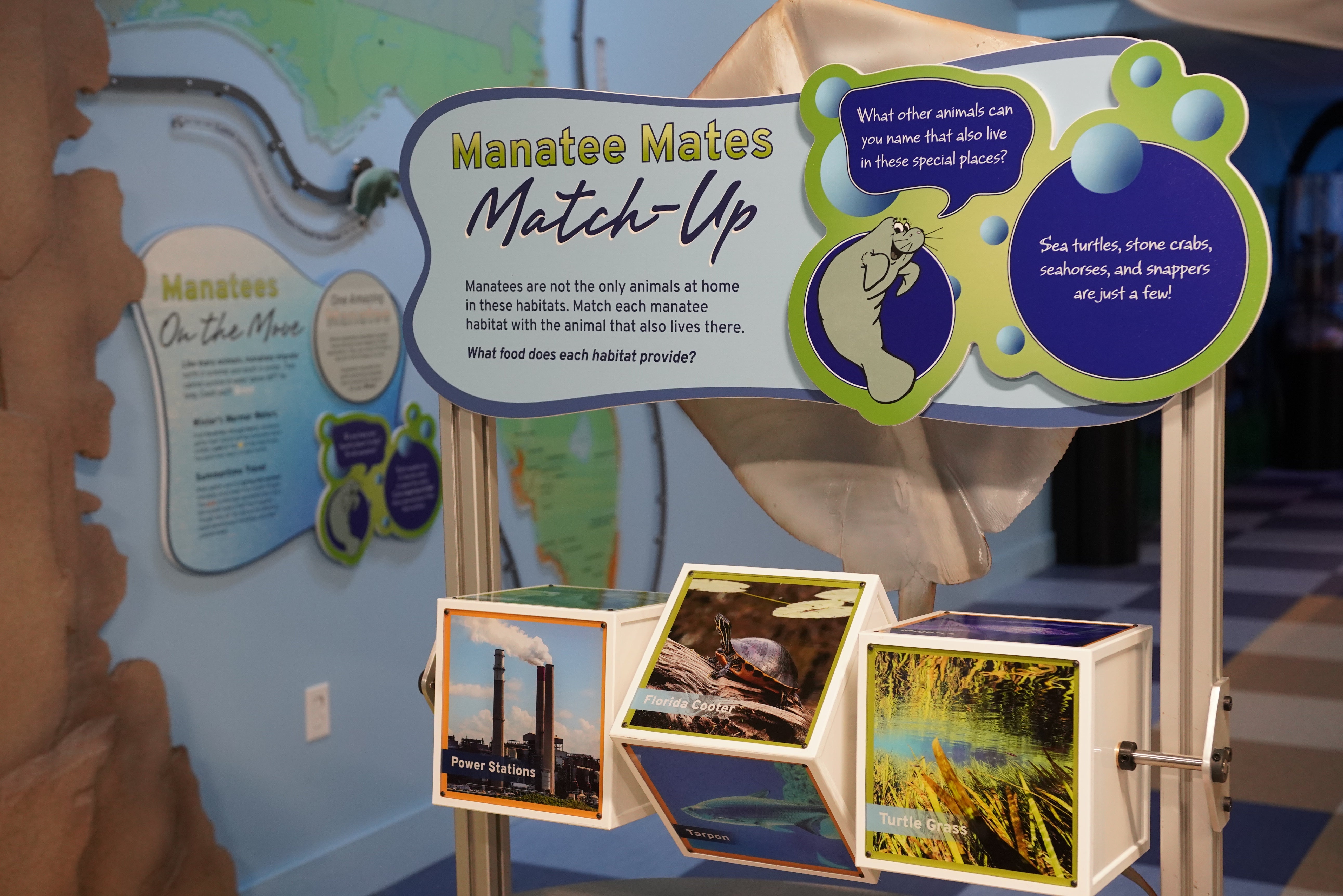 Semi-Custom Interactive Exhibits – Wilderness Graphics, Inc.