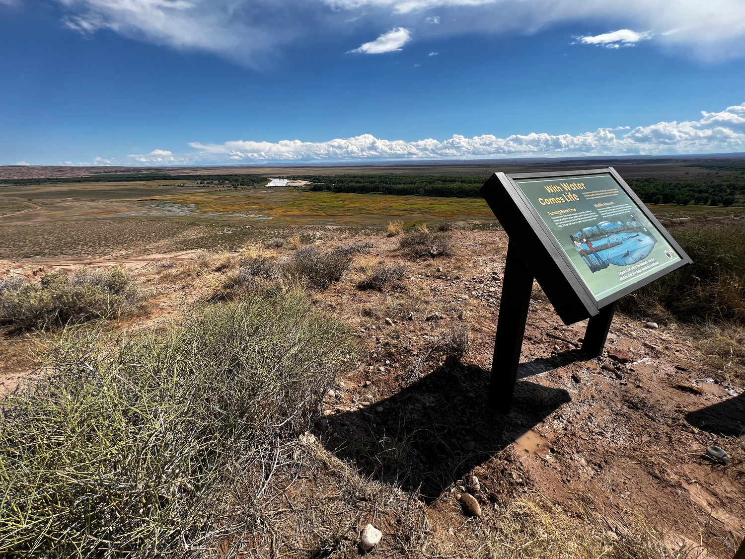 Custom Mounts – Wilderness Graphics, Inc.