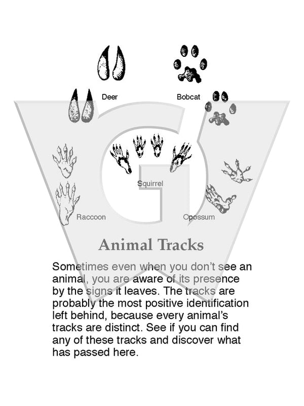 Animal Tracks Sign – Wilderness Graphics, Inc.