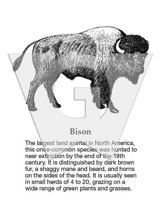 Bison Sign – Wilderness Graphics, Inc.