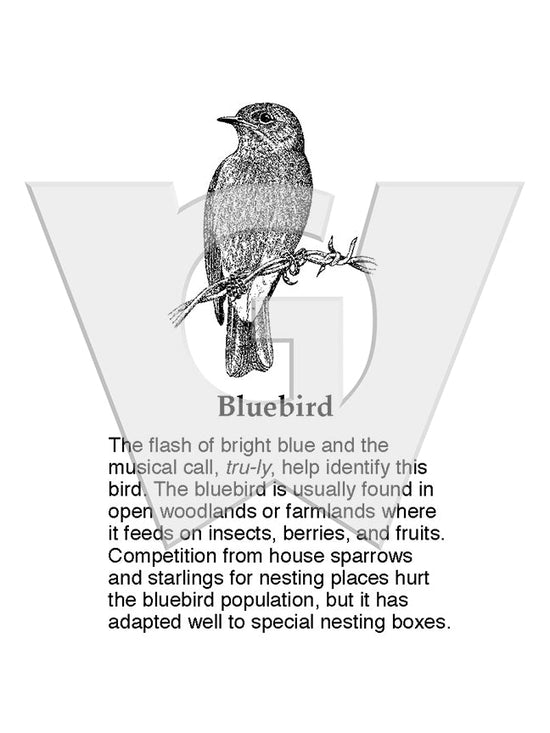 Bluebird Sign – Wilderness Graphics, Inc.