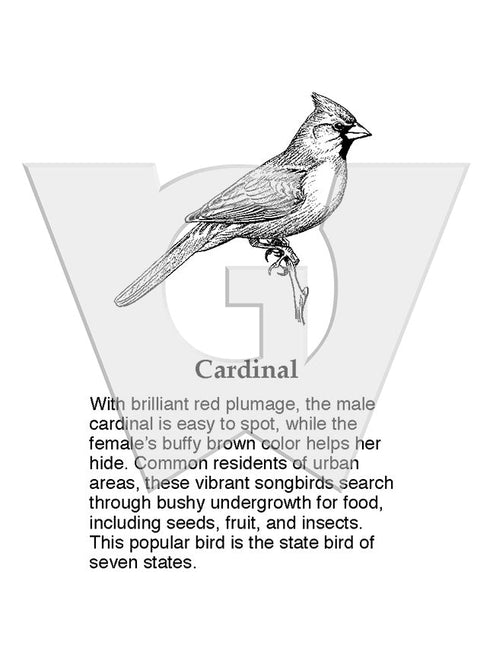 Cardinal Sign – Wilderness Graphics, Inc.