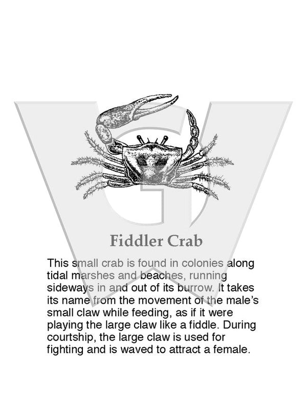 Fiddler Crab Sign – Wilderness Graphics, Inc.