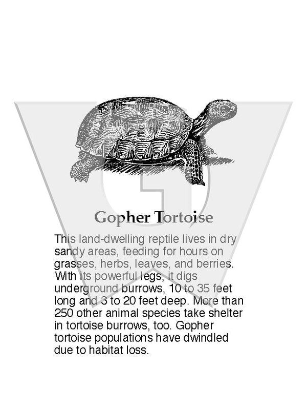 Gopher Tortoise Sign – Wilderness Graphics, Inc.