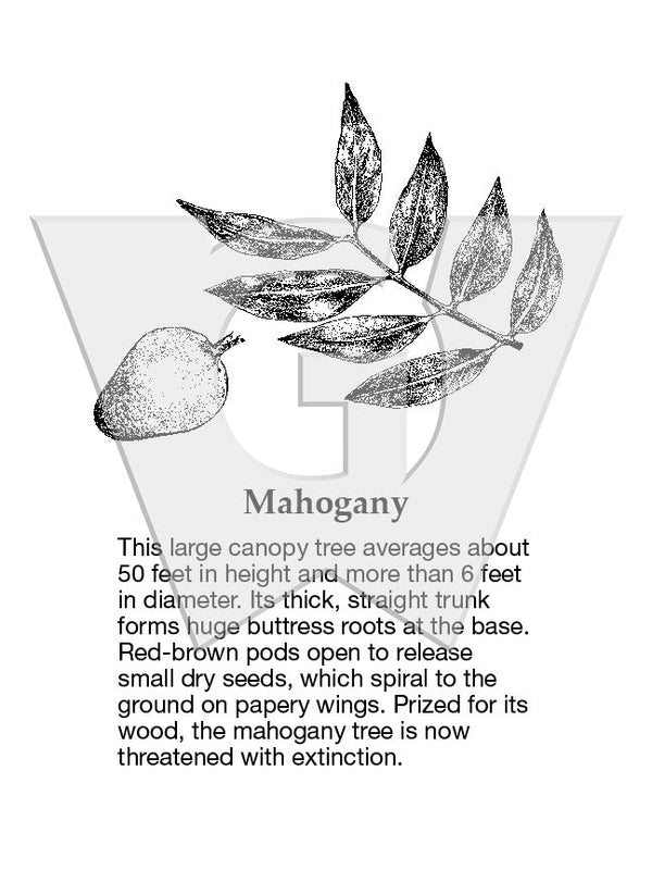 Mahogany – Wilderness Graphics, Inc.