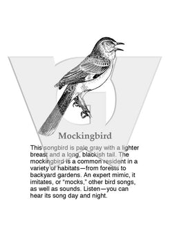 Mockingbird Sign – Wilderness Graphics, Inc.