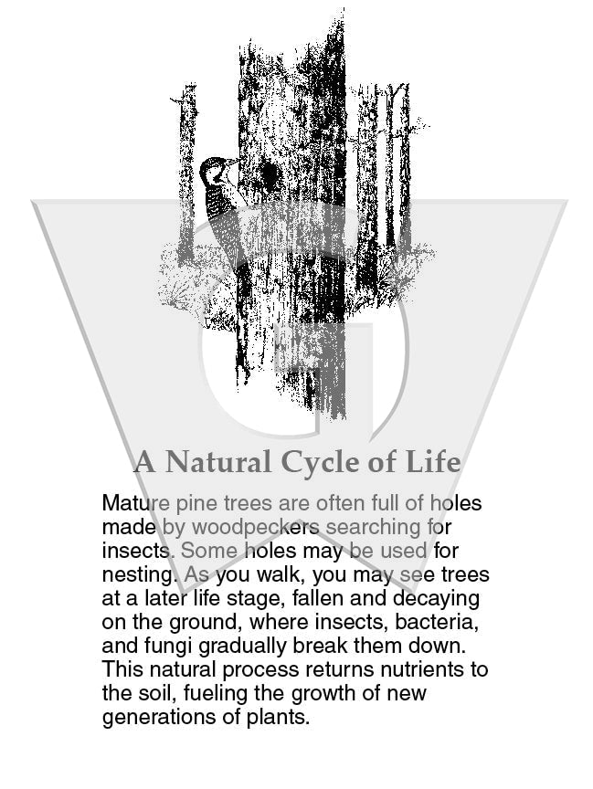 A Natural Cycle of Life Sign – Wilderness Graphics, Inc.