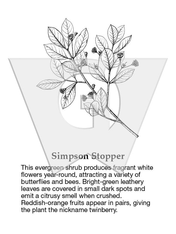 Simpson Stopper – Wilderness Graphics, Inc.
