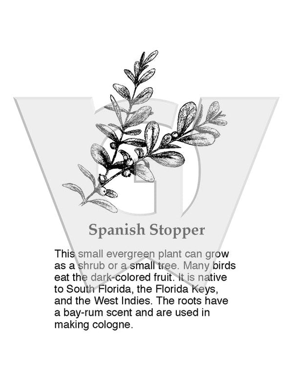Spanish Stopper Sign – Wilderness Graphics, Inc.