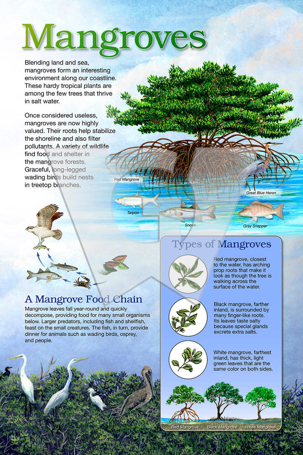 Mangroves Sign – Wilderness Graphics, Inc.