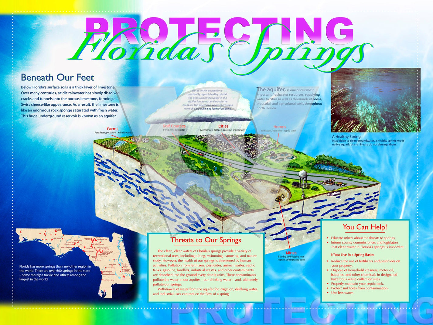 Protecting Florida's Springs Sign – Wilderness Graphics, Inc.