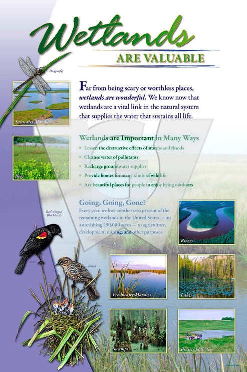 Wetlands are Valuable Sign – Wilderness Graphics, Inc.