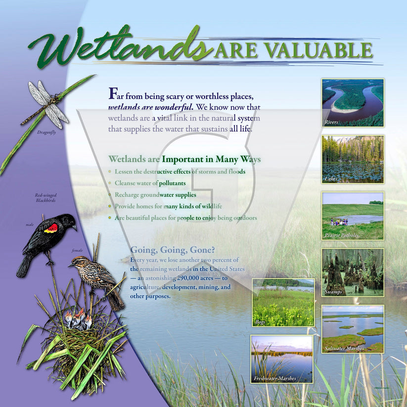 Wetlands are Valuable Sign – Wilderness Graphics, Inc.