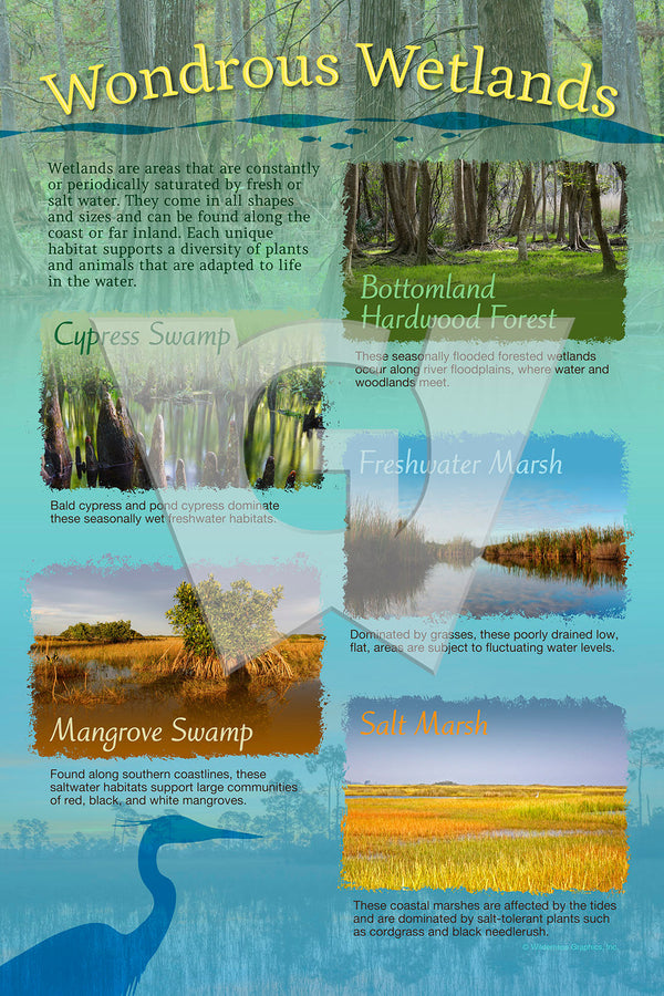 Wondrous Wetlands Sign – Wilderness Graphics, Inc.