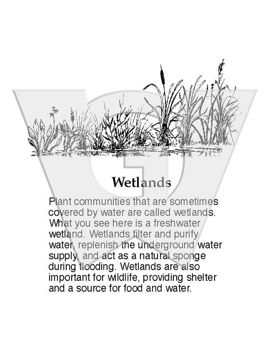 Wetlands Sign – Wilderness Graphics, Inc.